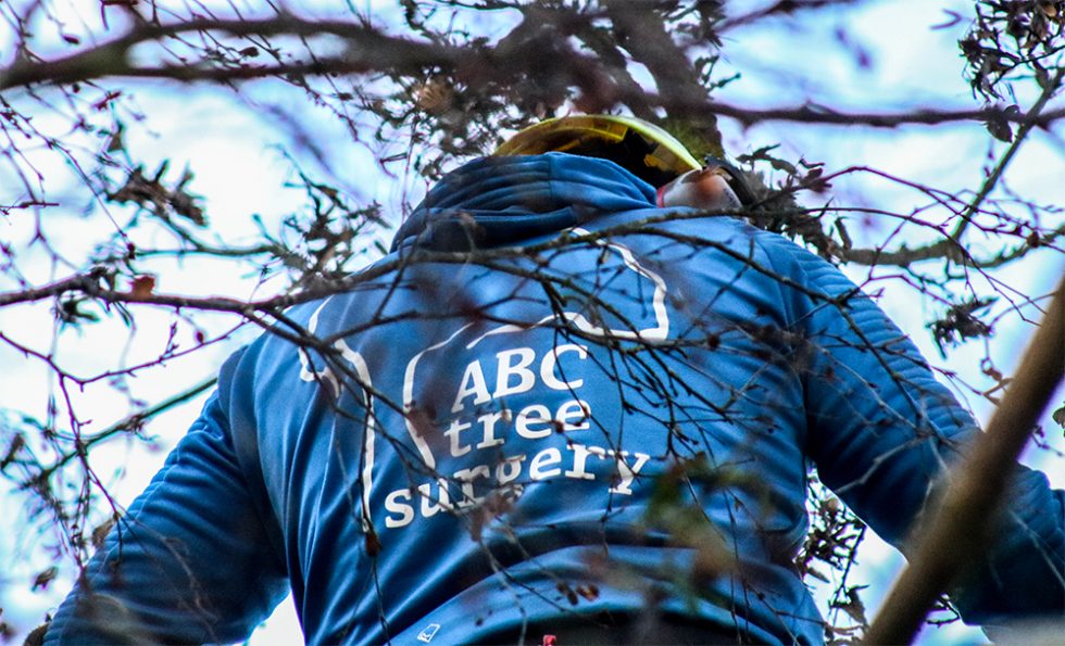 Contact us - ABC Tree